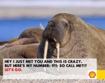 Friday Roundup: All Shell Meme Edition (Submit your own!) – Green Philly