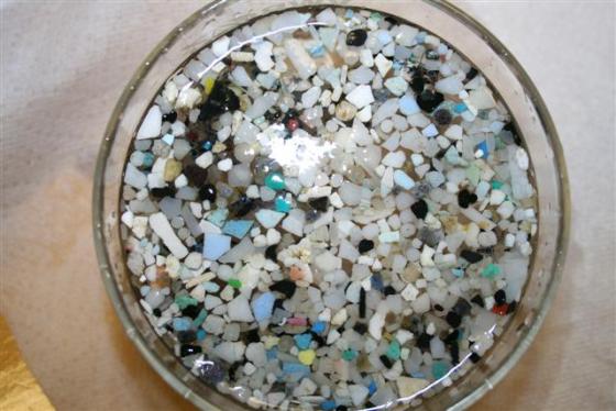 Avoid Microbeads – Mini Plastic Litter – Friday Quickie – Green Philly