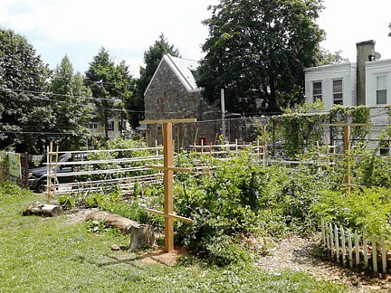 Recyclebank’s Green Schools Program is BACK! – Green Philly