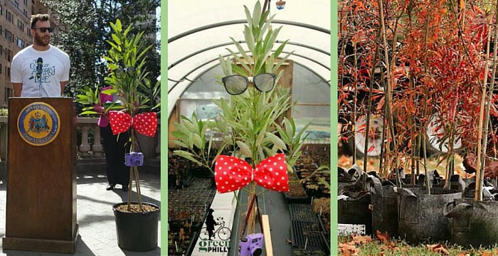 Here’s How to Get Connor Barwin to Plant a Free Tree in your Yard ...