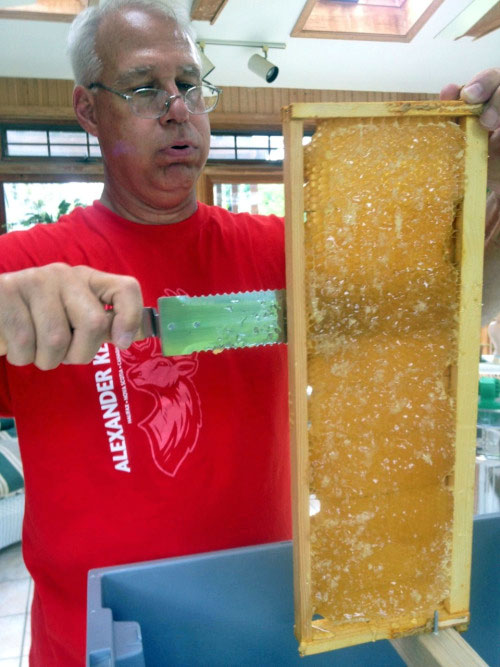 DIY BEEEEESness: How to Make Homemade Beeswax Lotion – Green Philly