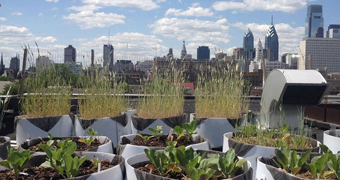 4 Green Roofs You Can Visit in Philadelphia – Green Philly