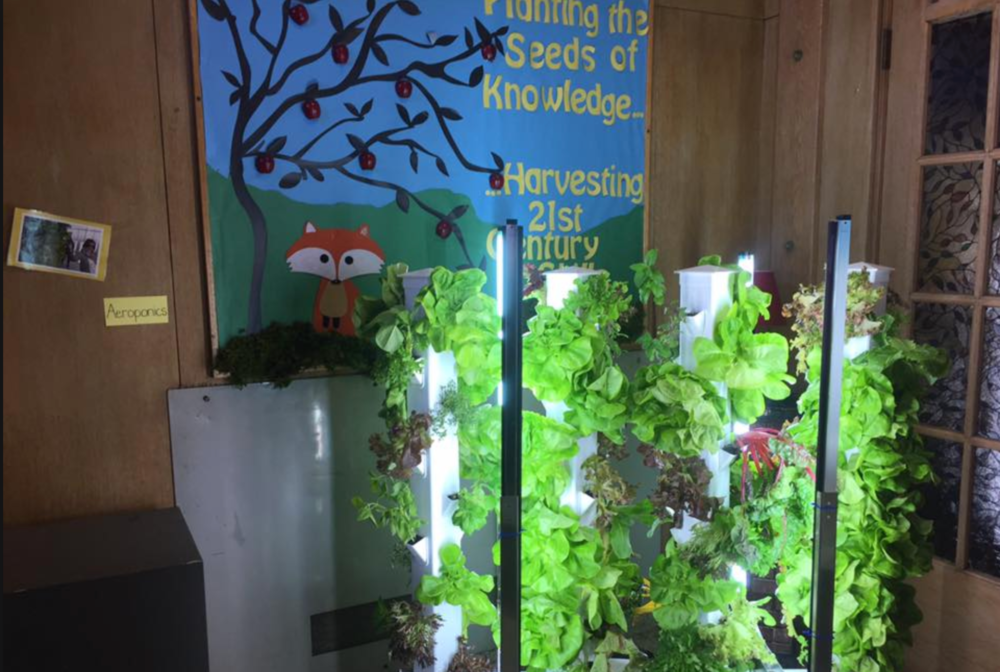This Philly school is setting a new standard for sustainability – Green ...