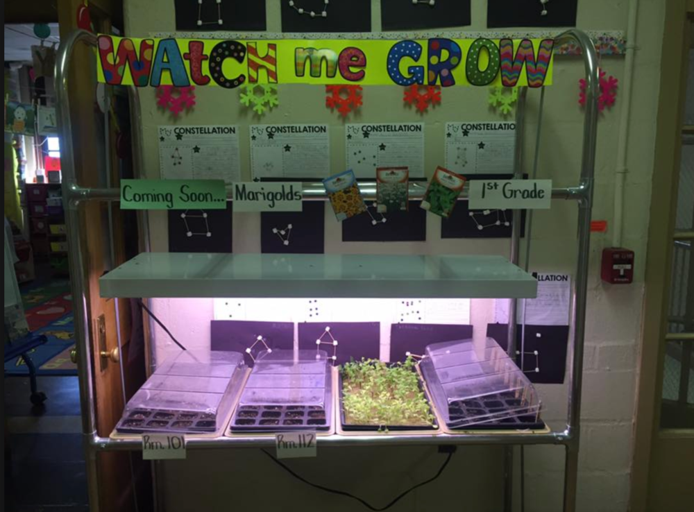 This Philly school is setting a new standard for sustainability – Green ...