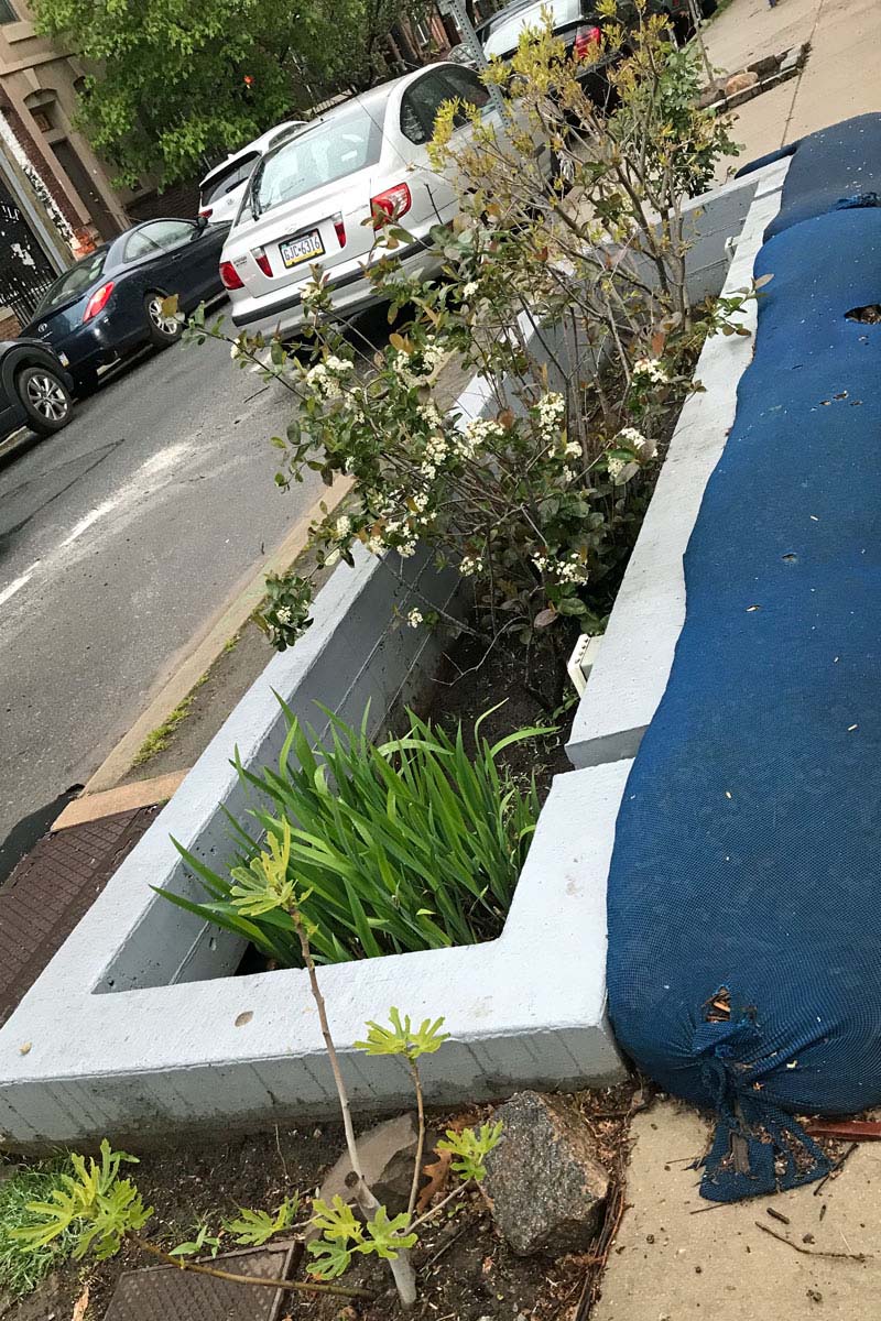 Eco-Explainer: What is Green Stormwater Infrastructure (GSI)? – Green ...