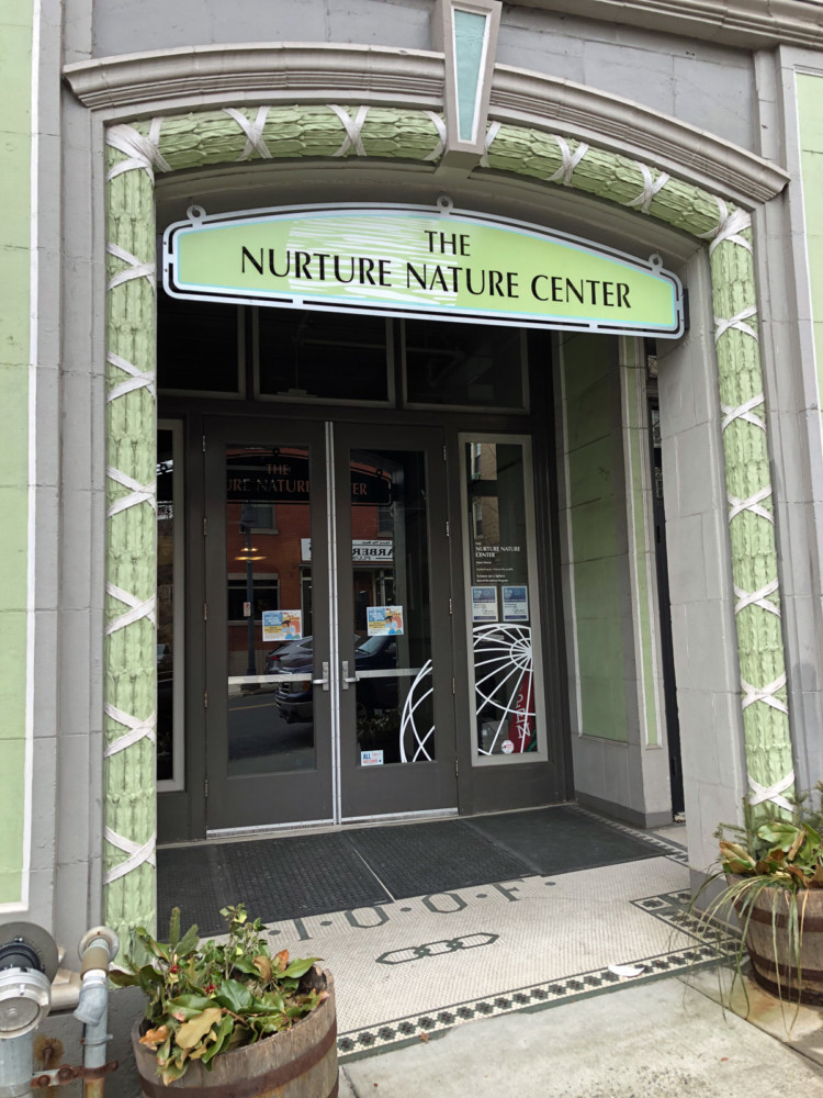 Combining Art, Science and Community at Easton’s Nurture Nature Center ...