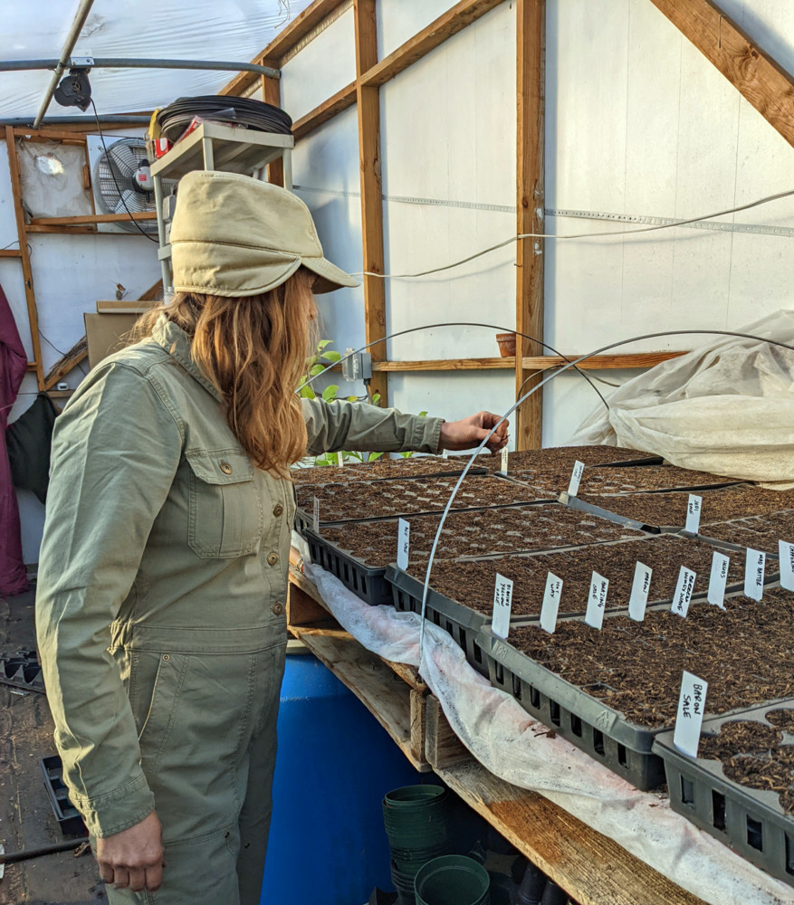At Germantown Kitchen Garden, organic produce flourishes on a once ...