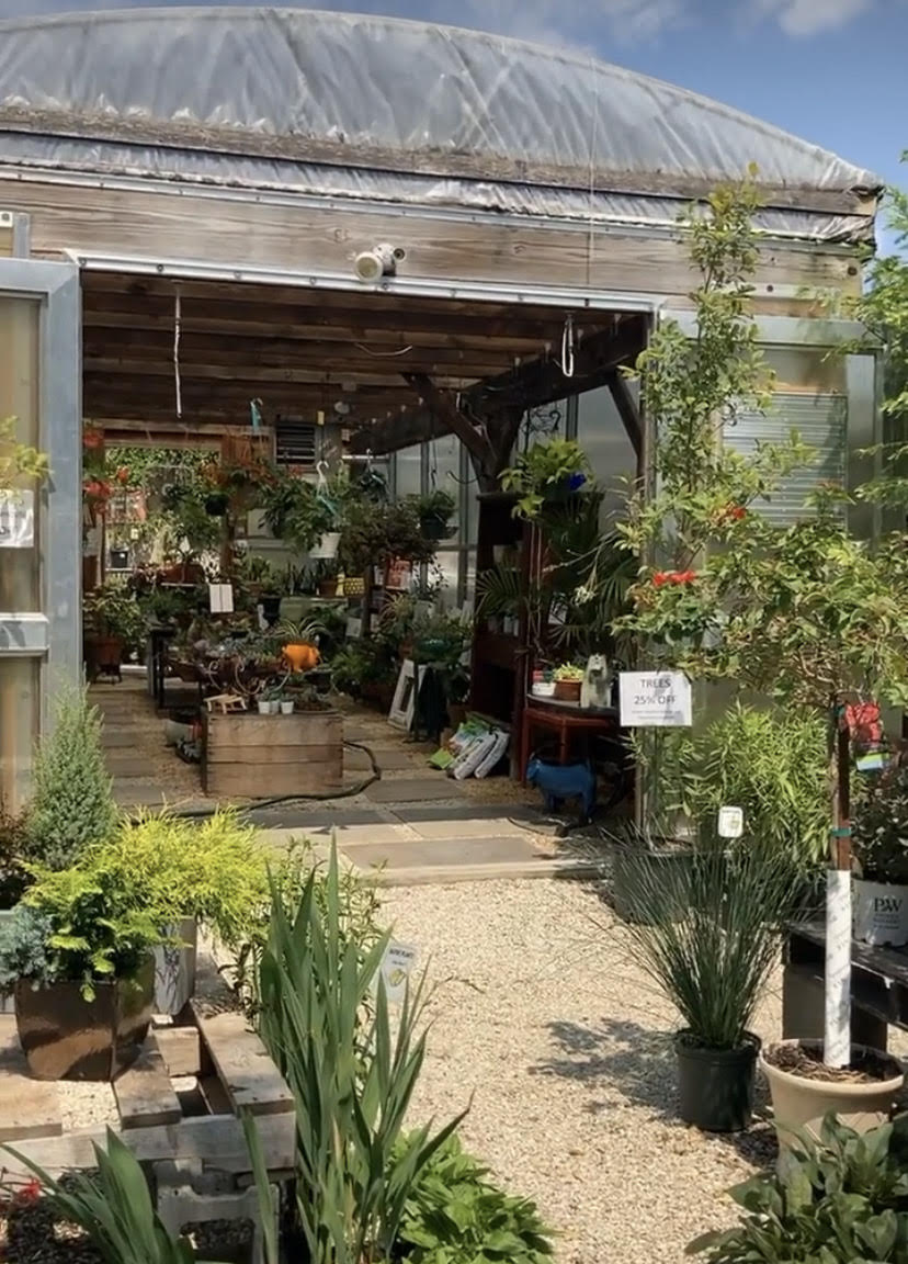 7 Philly Plant Shops to Find Your Next Favorite Plant – Green Philly