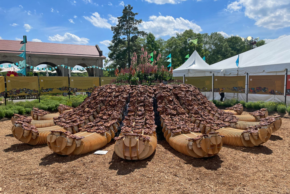 Philadelphia Flower Show returns “In Full Bloom” at FDR Park – Green Philly