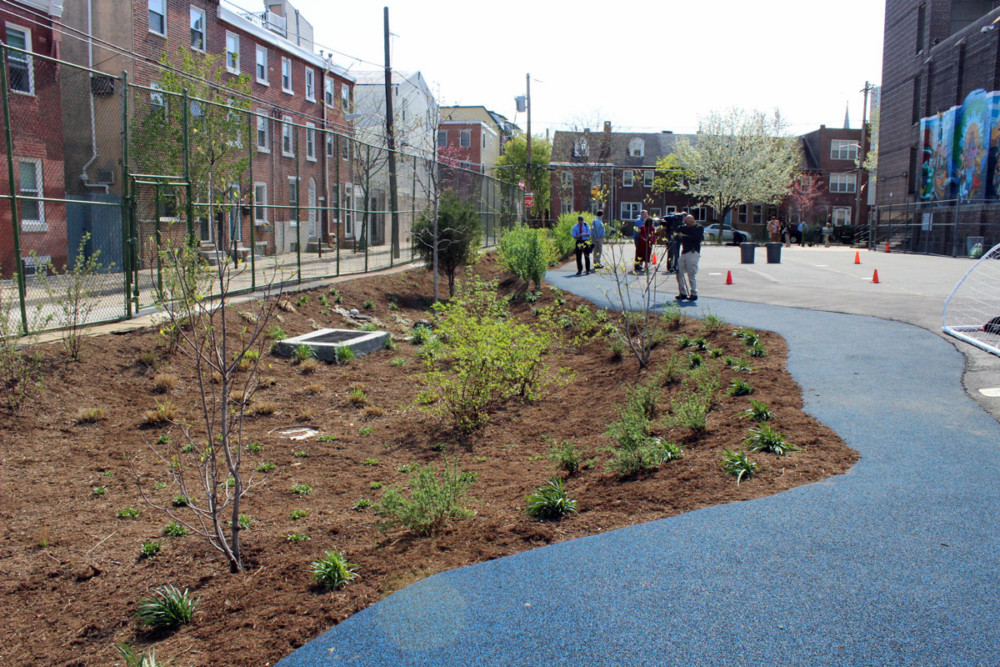 Eco-Explainer: What is a Bioswale? – Green Philly