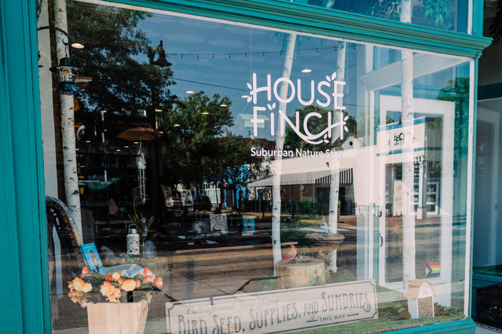 Suburban nature store House Finch aims to make birding more sustainable ...