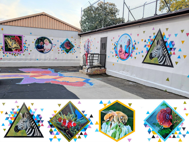 Kala Hagopian turns nature’s canvas into beautiful eco-murals – Green ...