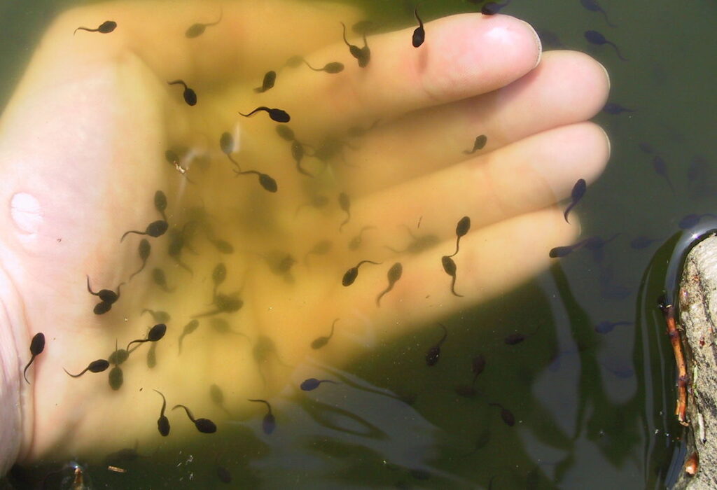 Events for February 2025 – Green Philly