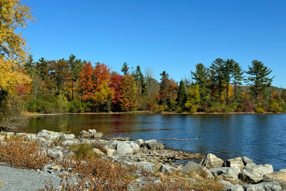 Green Philly – Philadelphia's top environmental news, sustainability ...